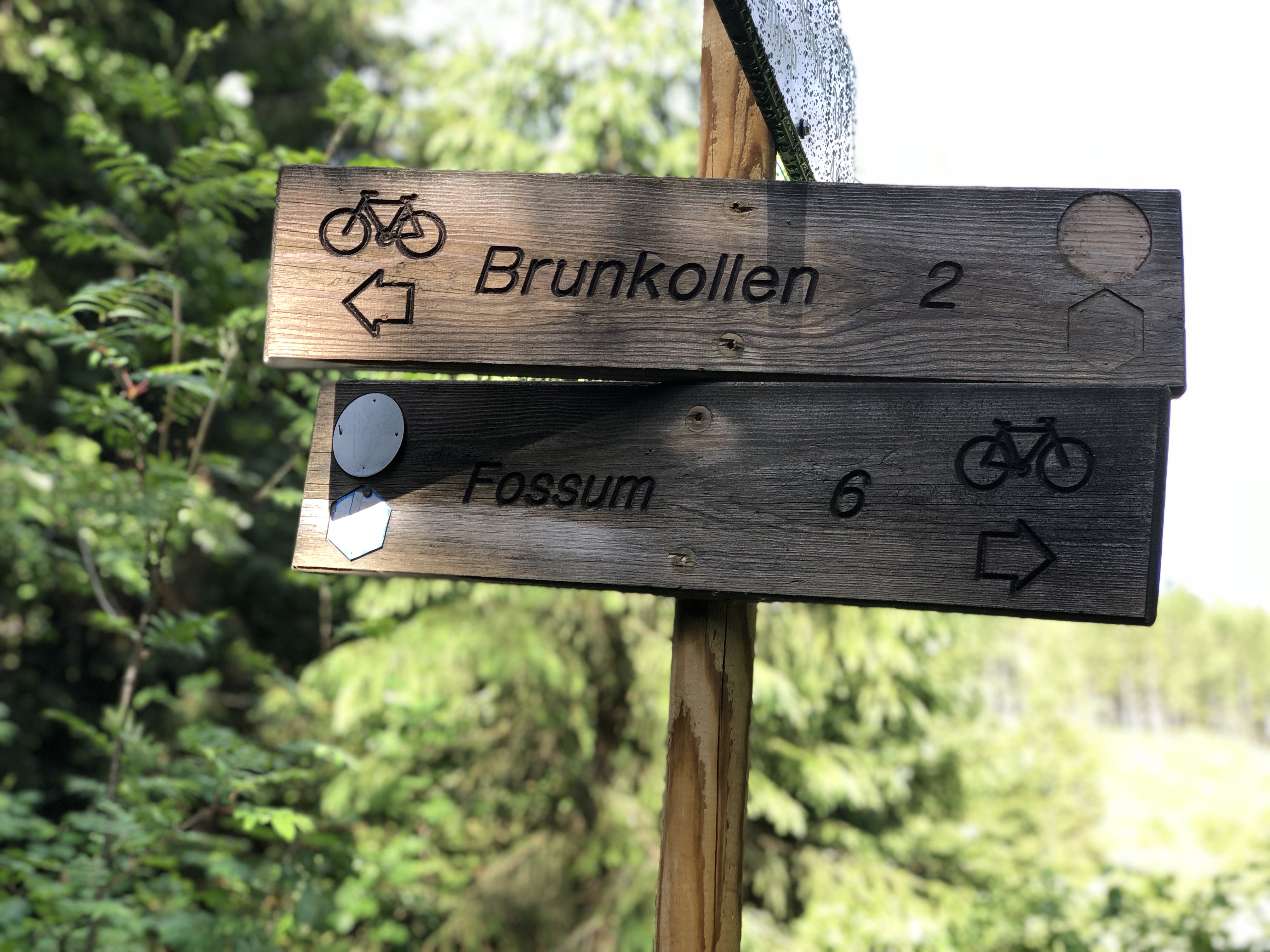 Markaturen: Brunkollen | Skiforeningen