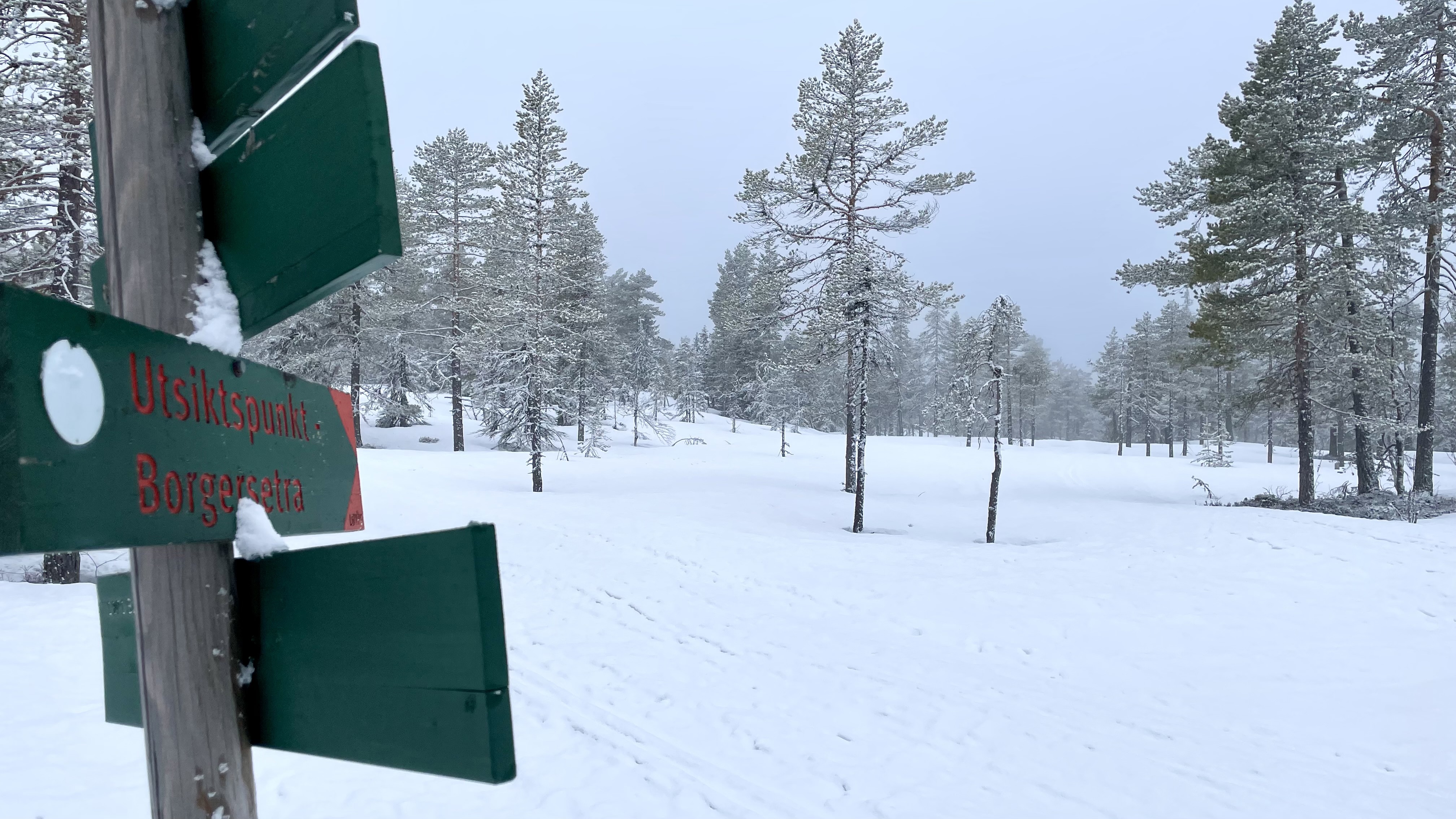 Markabilder | Skiforeningen