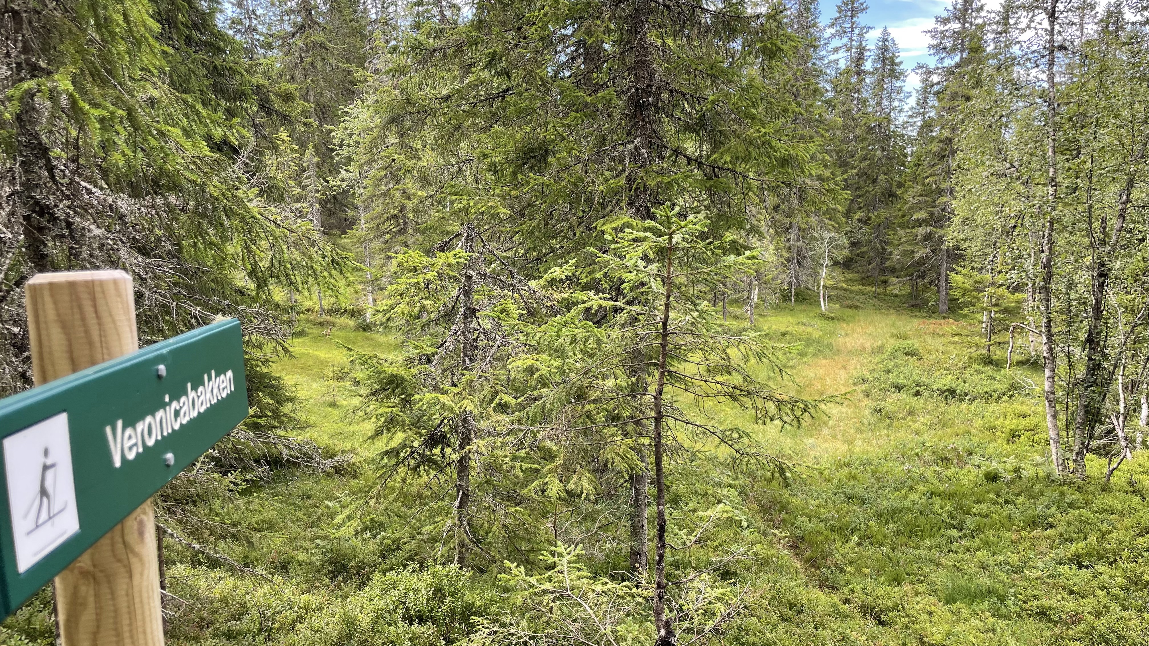 Markabilder | Skiforeningen